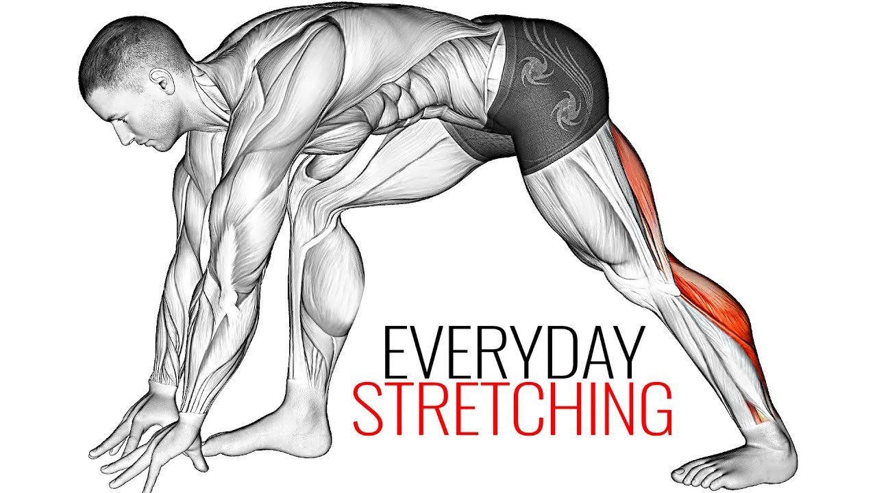 Stretching Exercises for Beginners At Home – Beast Immortal