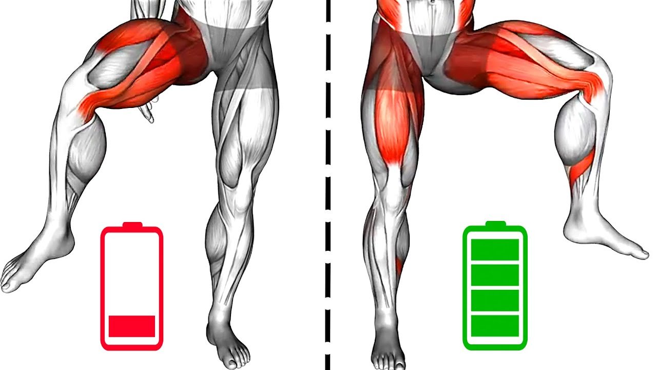 11 Exercises to Increase Pelvic Blood Flow – Beast Immortal