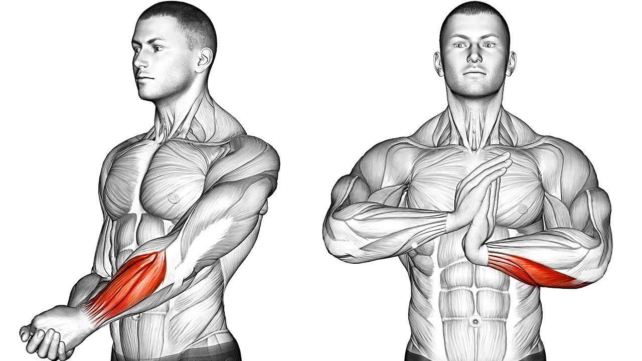 Increase Grip Strength & Flexibility Your Wrists – Fitness Tips