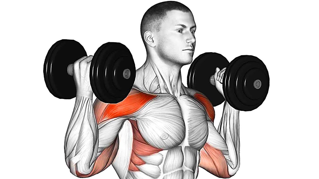 Standing Dumbbell Exercises for a Full Body Workout – Beast Immortal