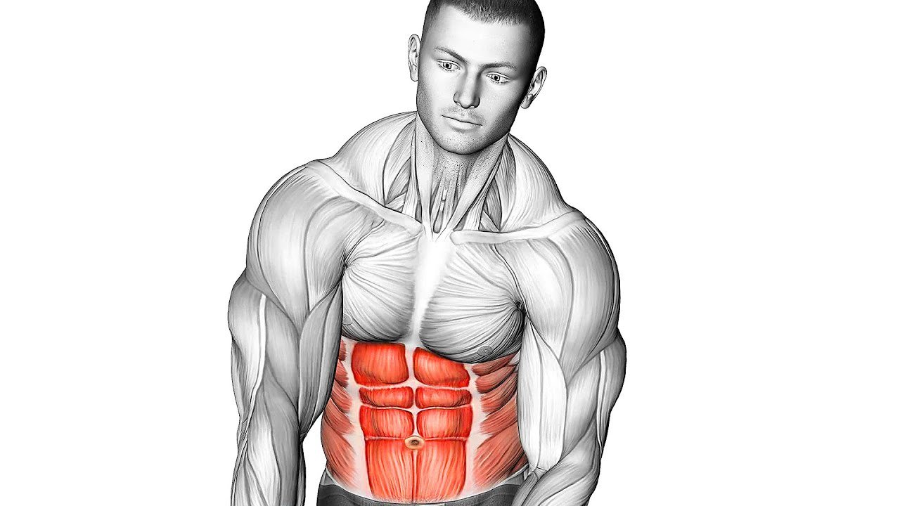 The Best Ab Exercises To Build A Strong Core – Beast Immortal