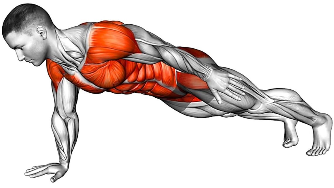 7 Minute Daily Plank Workout – Beast Immortal