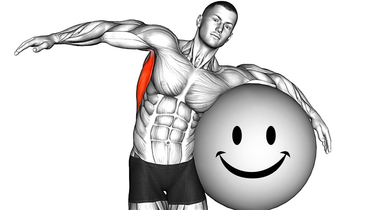 9 Minute Home Exercises (Gym Ball Workout) – Beast Immortal