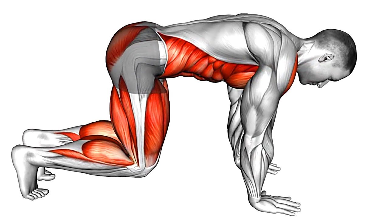 Stretching Exercises At Home – Beast Immortal