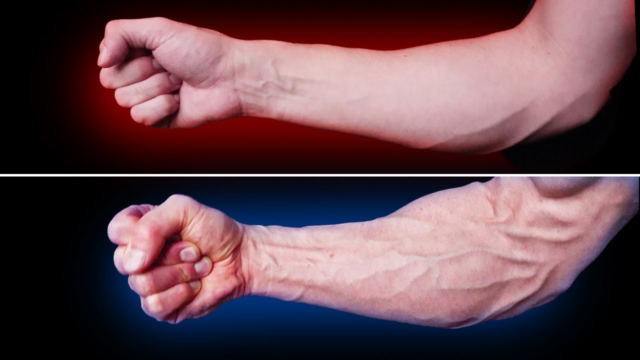 How to Get Bigger, More Vascular Forearms (JUST DO THIS) – Beast Immortal