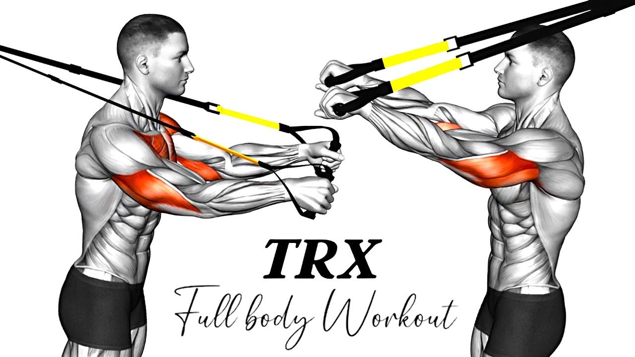 11 Best TRX Exercises for a Full Body Workout – Beast Immortal