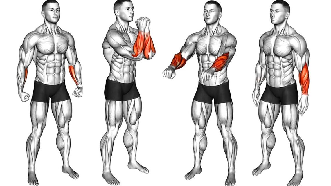 Do These Exercises to Build Your Forearms – Beast Immortal