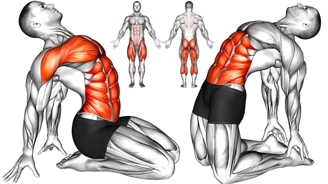 Full Body Muscle Activation in The Morning – Beast Immortal