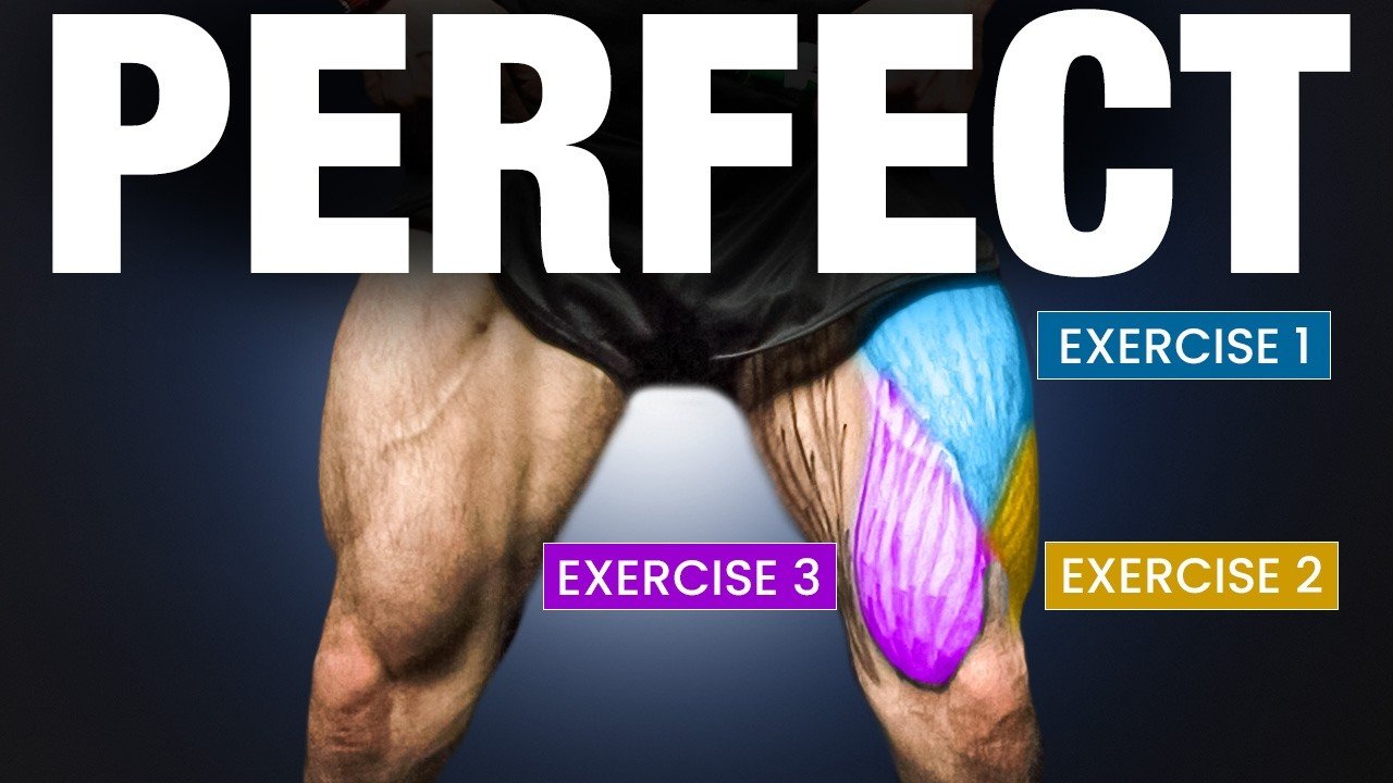 The PERFECT Leg Workout (Backed by Science) – Beast Immortal