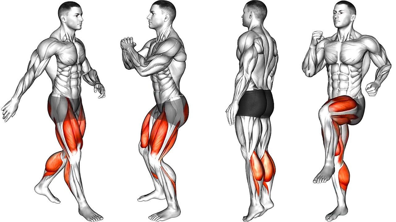 Leg Exercises! 11 Simple Exercises for Your Legs – Beast Immortal