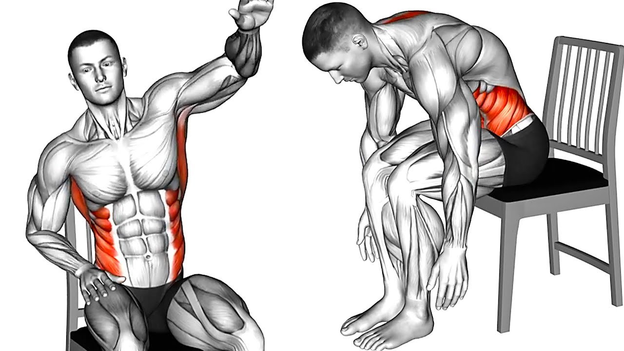 7 Exercises to Help Relieve Back Pain – Beast Immortal