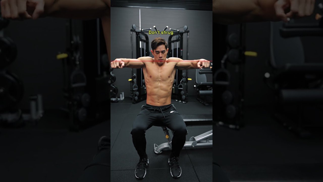 Chest Builder 101 – Beast Immortal