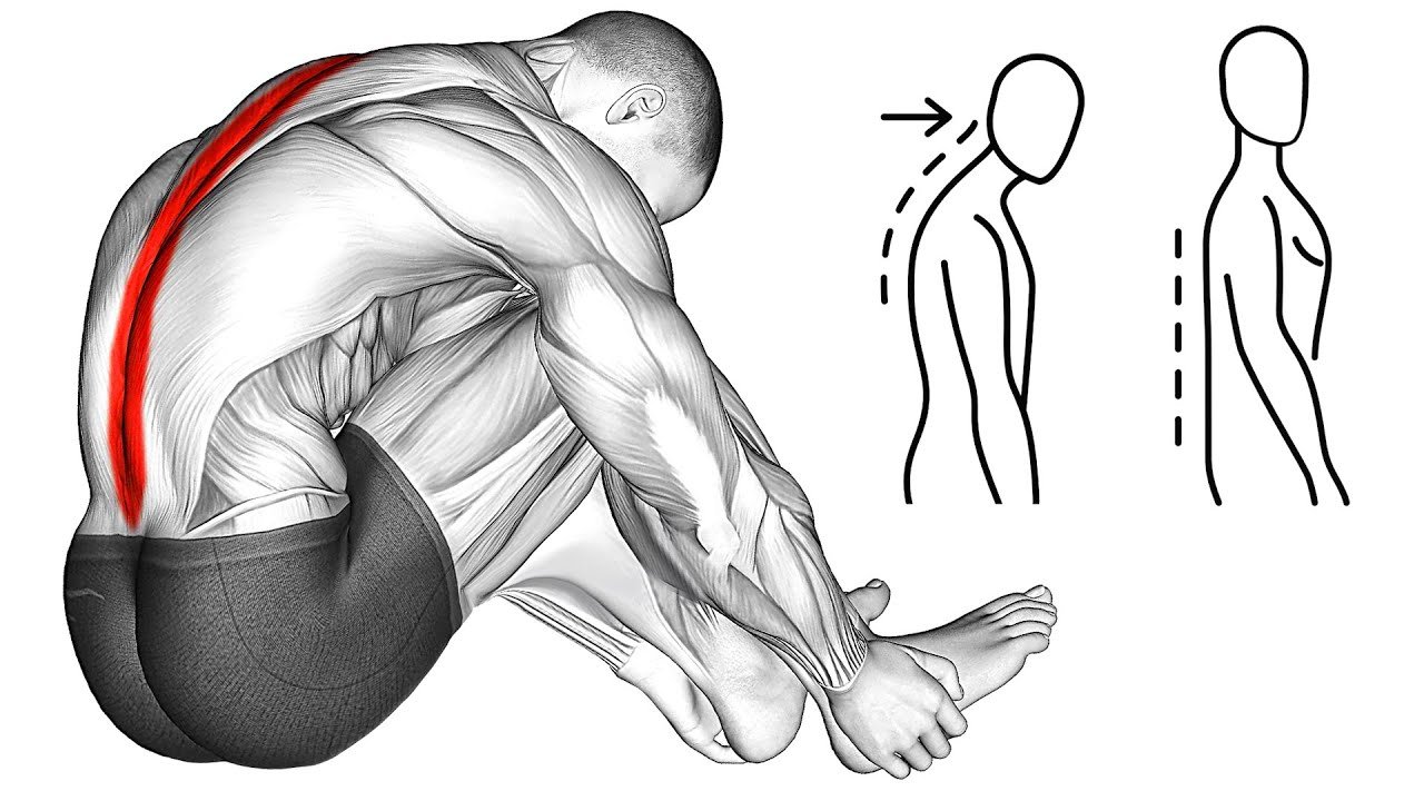 7 Posture Exercises to Help You Grow Taller – Beast Immortal