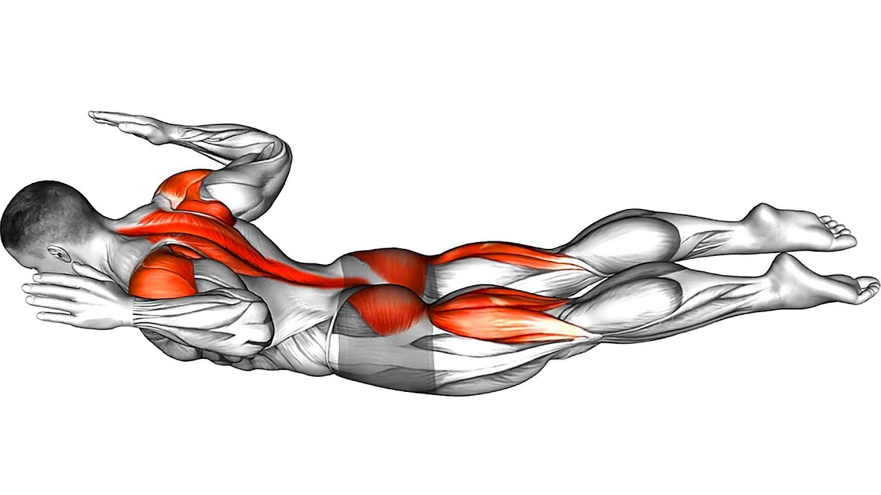 How to Tone Your Back Muscles and Fix Bad Posture – Beast Immortal