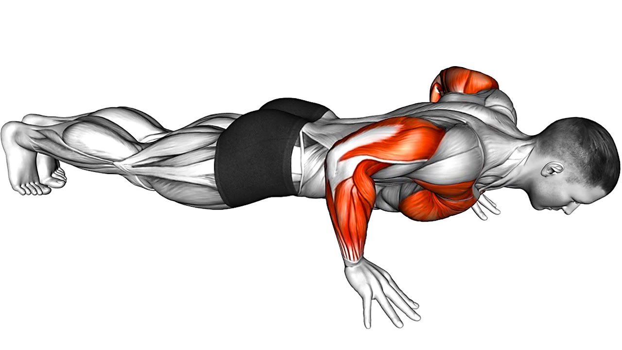 Push-Up Variations Easy to Hard – Beast Immortal