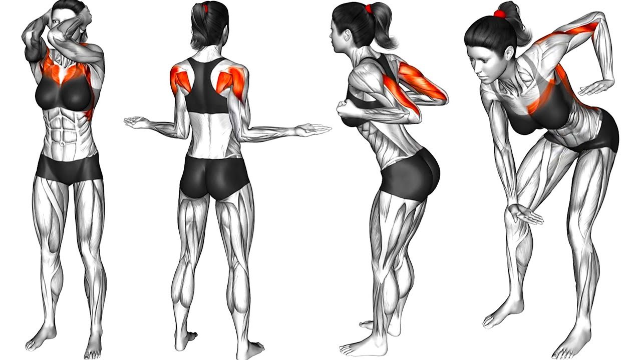 How to Tone Your Muscles and Relief Pain – Beast Immortal