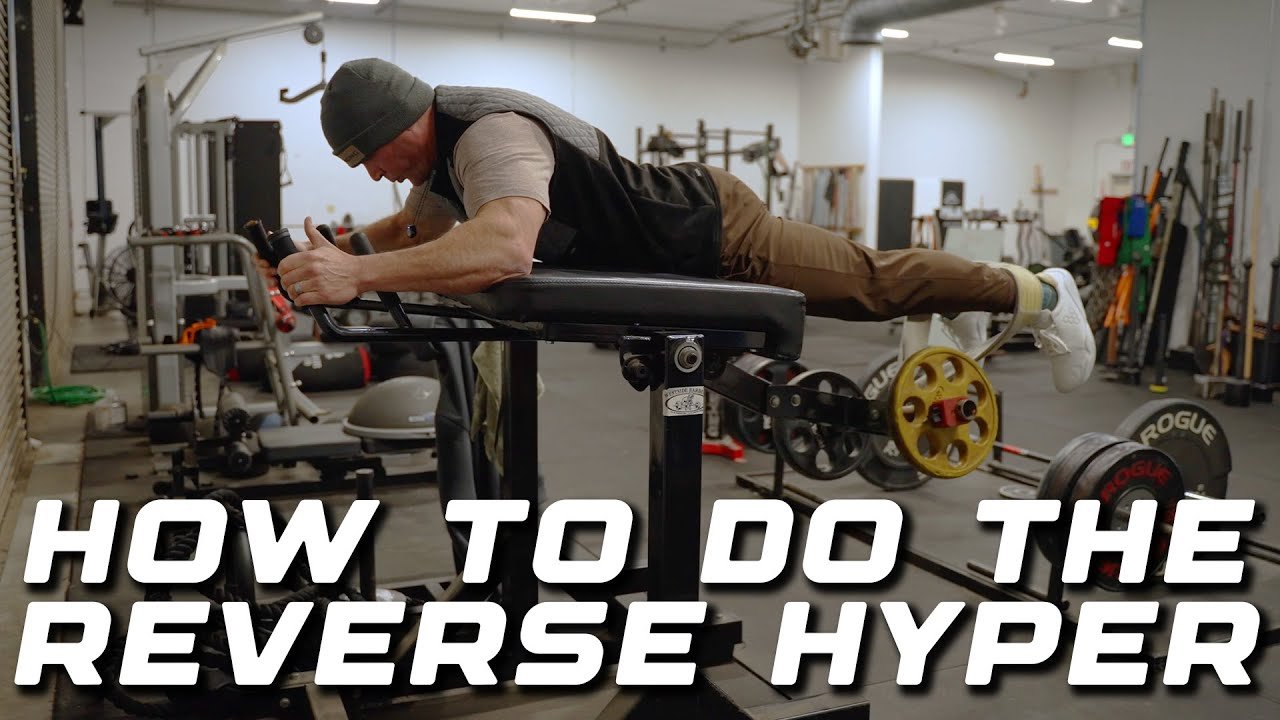 How to Use the Reverse Hyper Correctly (Most People Do It Wrong ...